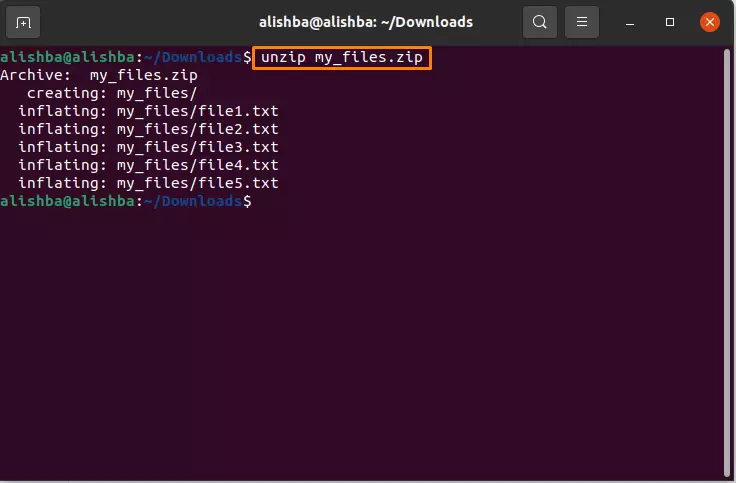 Ubuntuでzipファイルを解凍する方法 2494_2