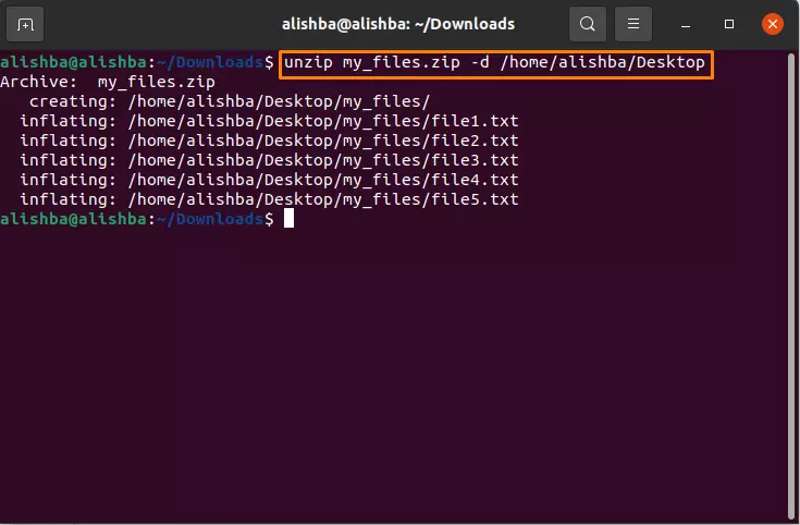 Ubuntu에서 zip 파일의 압축을 푸는 방법 2494_4