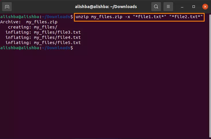 Чӣ тавр файли zip-ро дар Ubuntu кушодан мумкин аст 2494_7