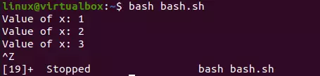 Bash ខណៈពេលដែល True Loop 255_6
