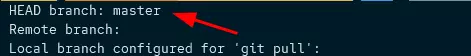 Git Reset to Remote 2569_2