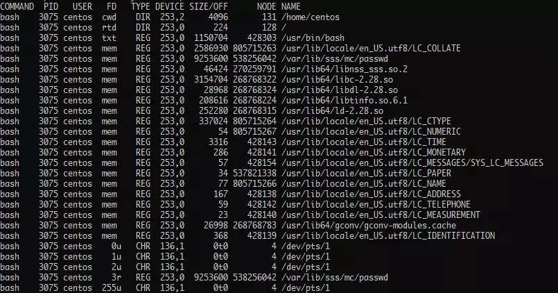 Πώς να ελέγξετε τα ανοιχτά αρχεία στο Linux 261_3