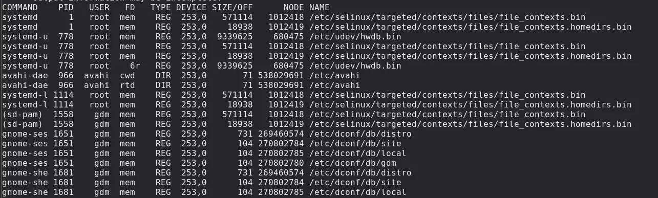 Comment vérifier les fichiers ouverts sous Linux 261_4