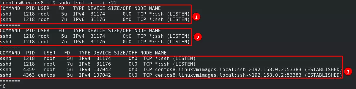 Cum să verificați fișierele deschise în Linux 261_7