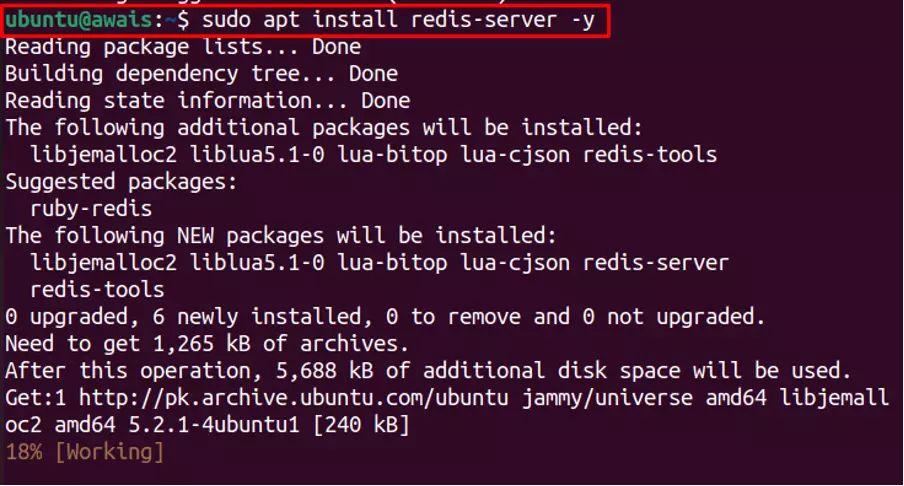 Як усталяваць базу дадзеных Redis на Ubuntu 22.04 і Linux Mint 2681_3