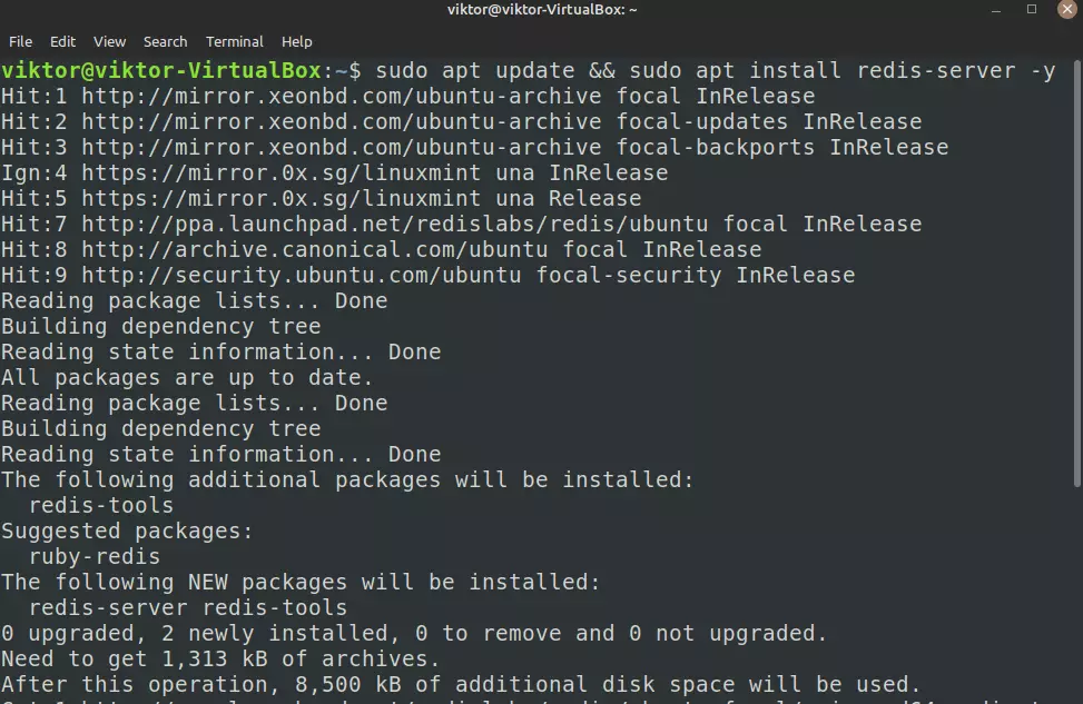 Installieren Sie Redis unter Linux Mint 2703_4