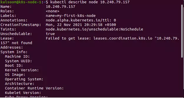 Sida loo tirtiro Node gudaha Kubernetes 2835_7