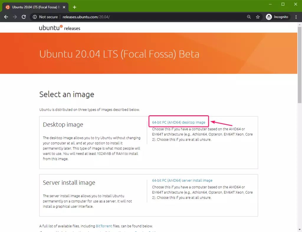 Gosod Ubuntu Desktop 20.04 LTS 2841_1