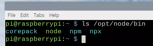 Raspberry Pi 4 پر Node.js انسٹال کریں۔ 2873_10