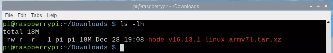 रास्पबेरी पाई 4 पर Node.js स्थापित करें 2873_4