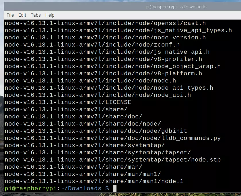 I-install ang Node.js sa Raspberry Pi 4 2873_6