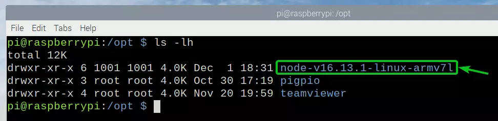 Տեղադրեք Node.js-ը Raspberry Pi 4-ում 2873_8