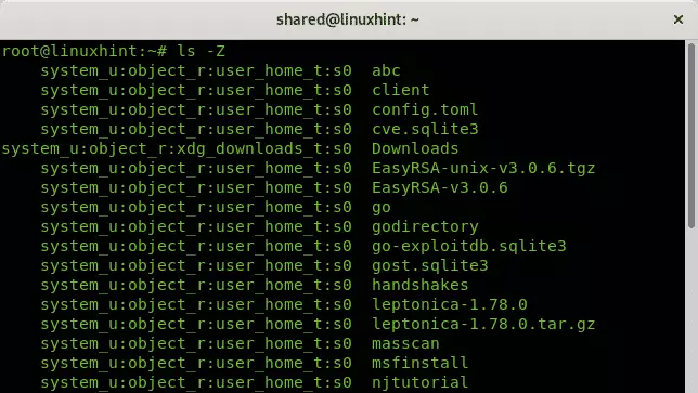 Debian 10 Buster-de SELinux (Security Enhanced Linux) 2892_7