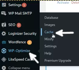 Si mund ta pastroj cache-in në WordPress? 2929_10