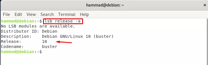 Hogyan frissítsd a Debian 10-et 11-re 2953_1