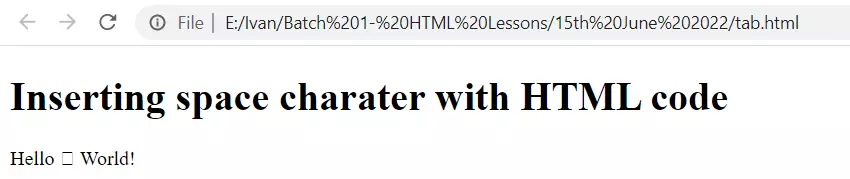 କୋଡ୍ ସହିତ HTML ସନ୍ନିବେଶ ଟ୍ୟାବ୍ ଏବଂ ସ୍ପେସ୍ ଅକ୍ଷର | 3046_12