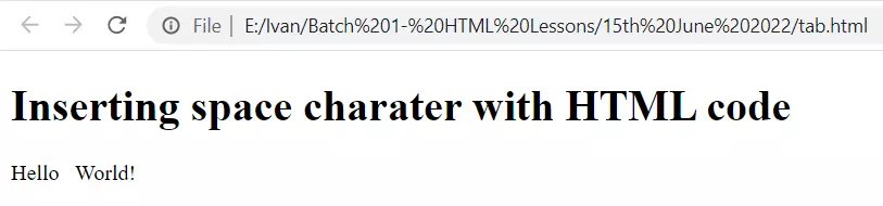 କୋଡ୍ ସହିତ HTML ସନ୍ନିବେଶ ଟ୍ୟାବ୍ ଏବଂ ସ୍ପେସ୍ ଅକ୍ଷର | 3046_4