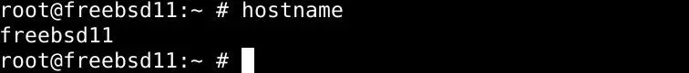 FreeBSD промени името на хоста 3053_1