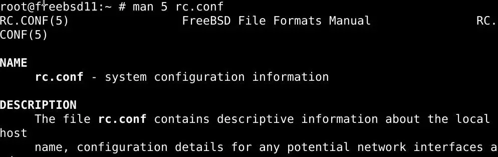 FreeBSD změnit název hostitele 3053_7