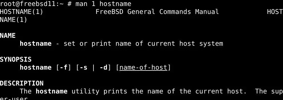 Baguhin ng FreeBSD ang hostname 3053_8