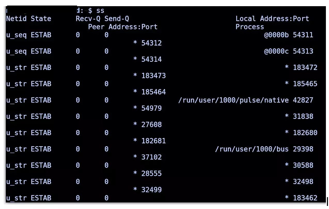 Sjekk hvilke porter og prosesser som kjører i Ubuntu 3066_3