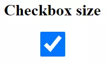 CSS Checkbox Loj 3080_4