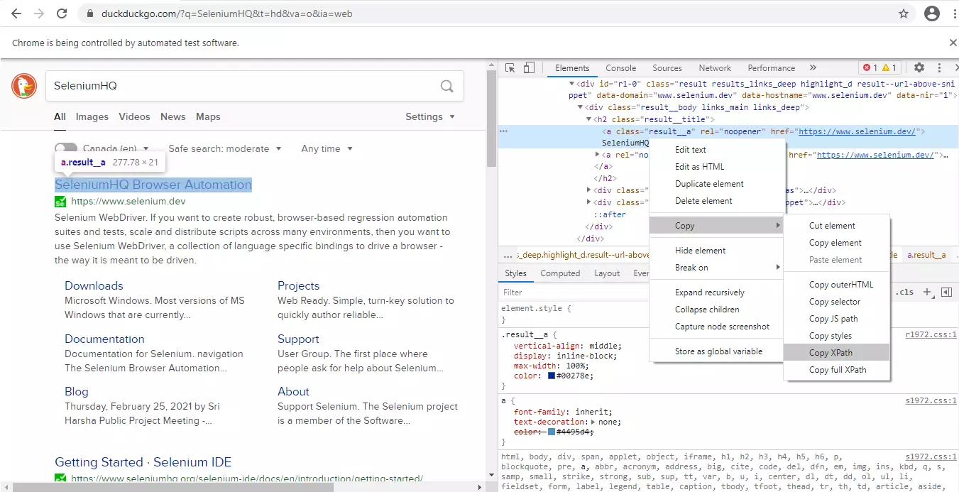 Selenium Automating Web Browsers 3179_2