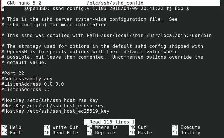 Instale e configure o servidor SSH en Arch Linux 3227_11