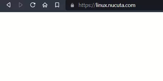 So verwenden Sie SSL auf einem Nginx-Webserver 3243_2