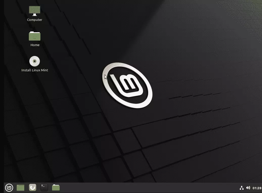 როგორ დააინსტალიროთ Linux Mint 20 USB-დან 3332_4