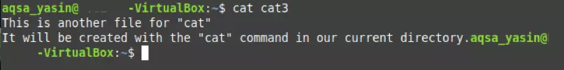 如何在 Bash 中使用“cat”命令？ 333_10