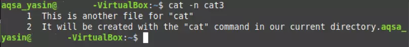 如何在 Bash 中使用“cat”命令？ 333_12