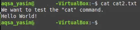Як выкарыстоўваць каманду «cat» у Bash? 333_16
