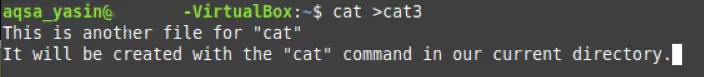 如何在 Bash 中使用“cat”命令？ 333_8