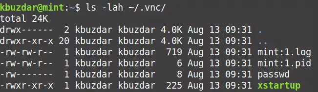Установите VNC-сервер на Linux Mint 20 3346_4