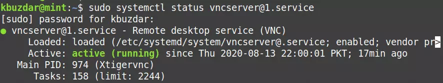 Asenna VNC-palvelin Linux Mint 20:een 3346_9