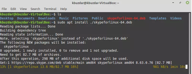 Si të instaloni Skype në Linux Mint 20 3350_4