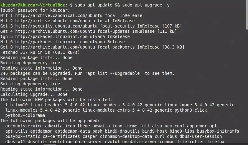 Si të instaloni Skype në Linux Mint 20 3350_5