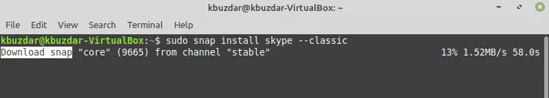Si të instaloni Skype në Linux Mint 20 3350_9