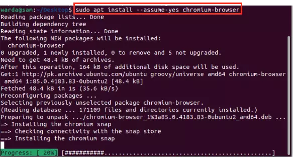 Jak zainstalować Chromium na Ubuntu 20.04 (LTS) i 20.10 3406_6