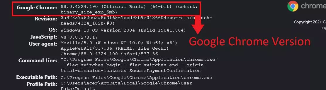 Як перевірити версію браузера Google Chrome 3408_3