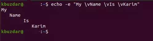 Echo Command yn Linux 348_8