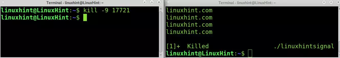 Hejmarên sînyala kuştina Linux 364_8