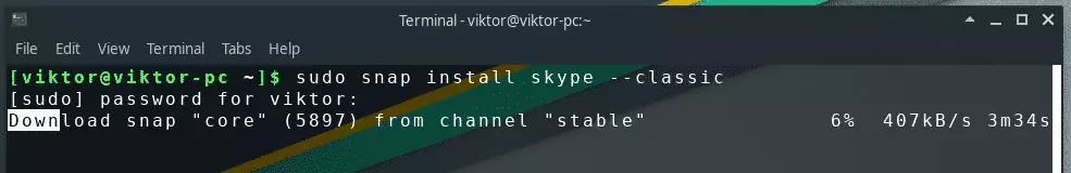 Ինչպես տեղադրել Skype-ը Manjaro Linux-ում 3664_22