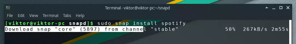 Як усталяваць Spotify на Manjaro 3666_15