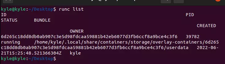 Na-arụ ọrụ na nsenter Linux Command 36_3