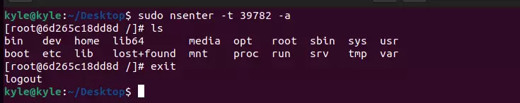 nsenter Linux આદેશ સાથે કામ કરવું 36_6