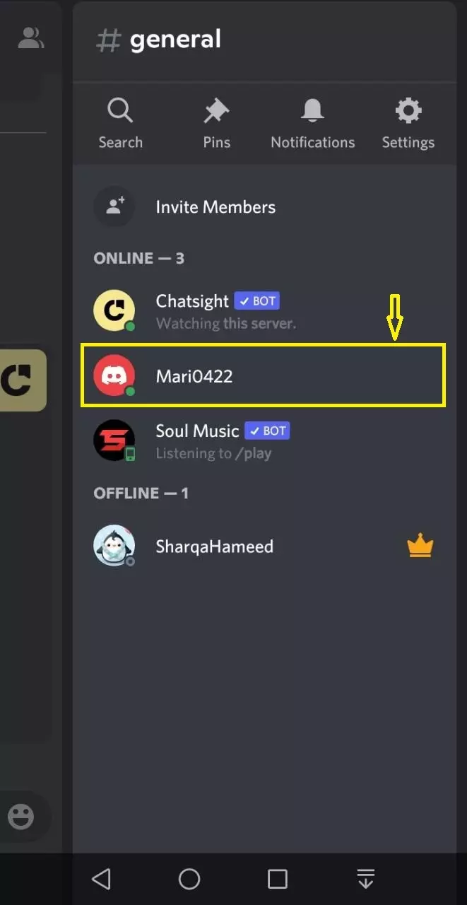 Paano mahahanap ang Discord ID 3750_15