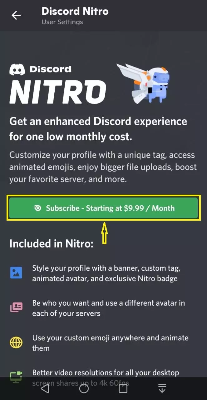 Discord Nitro ስንት ነው። 3751_12