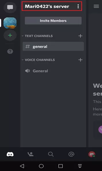 Kako puštati muziku na Discord-u 3753_20